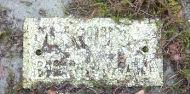 Berkman Hoeksche Waard en IJsselmonde. Vrouwelijke nazaten in de stamboom.